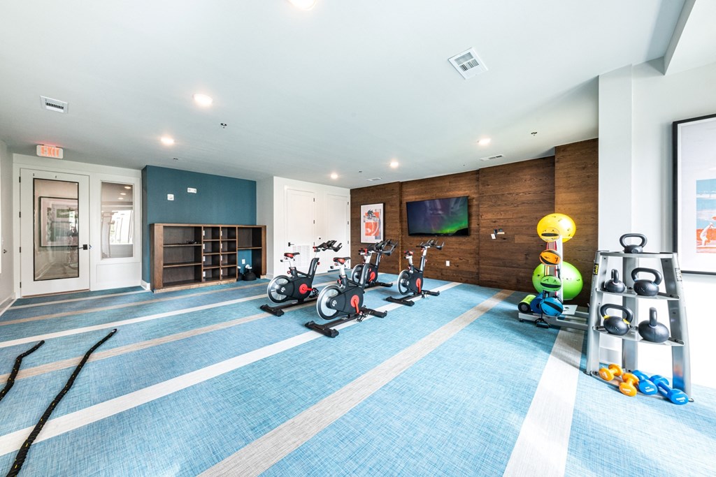 Lenox SoCo Apartments, 135 Foremost Drive, Austin, TX - RentCafe